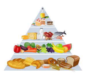 7 Basic Human Needs According To Maslow | Survival Report