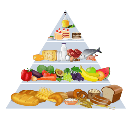 7 Basic Human Needs According To Maslow | Survival Report