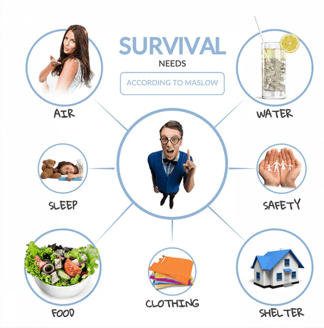 7 Basic Human Needs According To Maslow | Survival Report