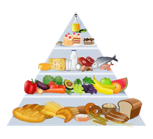 7 Basic Human Needs According To Maslow | Survival Report