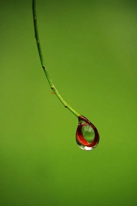 How To Find And Purify Water In The Wild | Survival Report